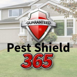 Pest Control | Target Pest Control Services | Call For Your Free Inspection